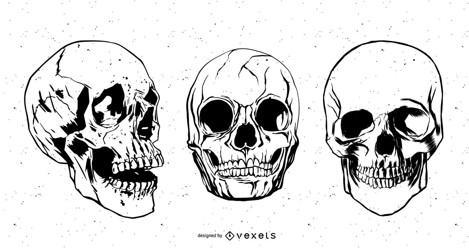 Skull Set Vector Download