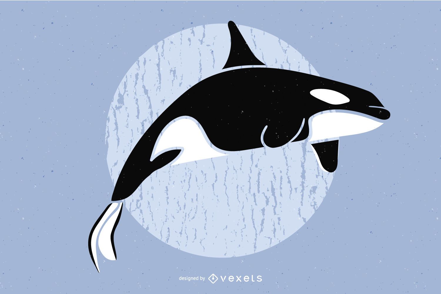 Killer Whale Vector Vector Download