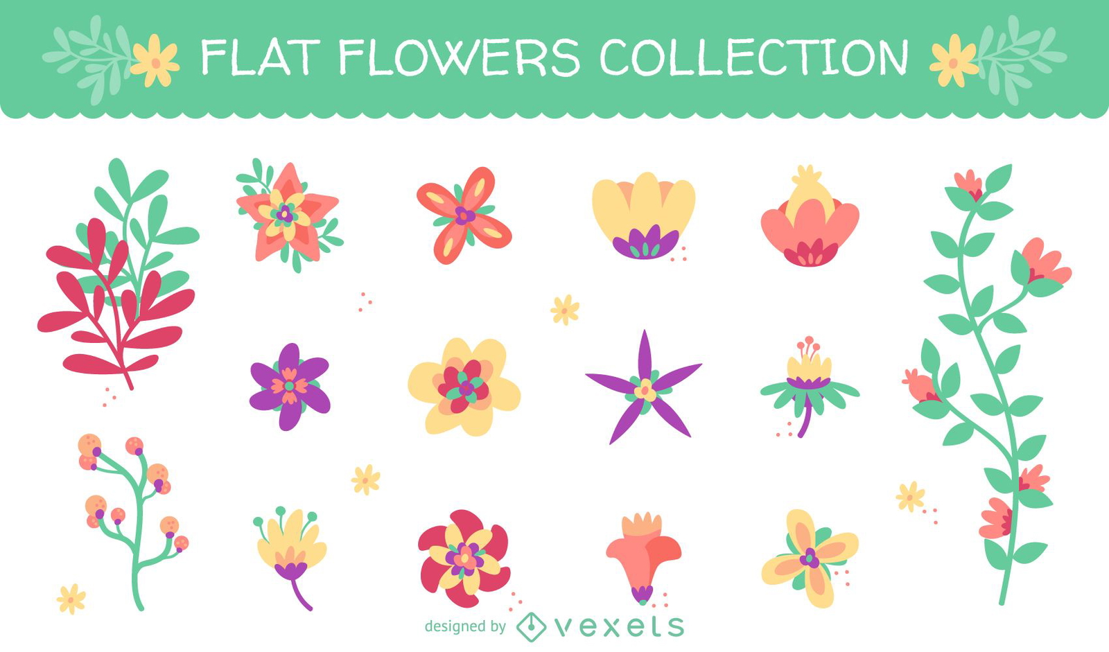 Huge Set With 15 Flat Flower Illustrations Vector Download