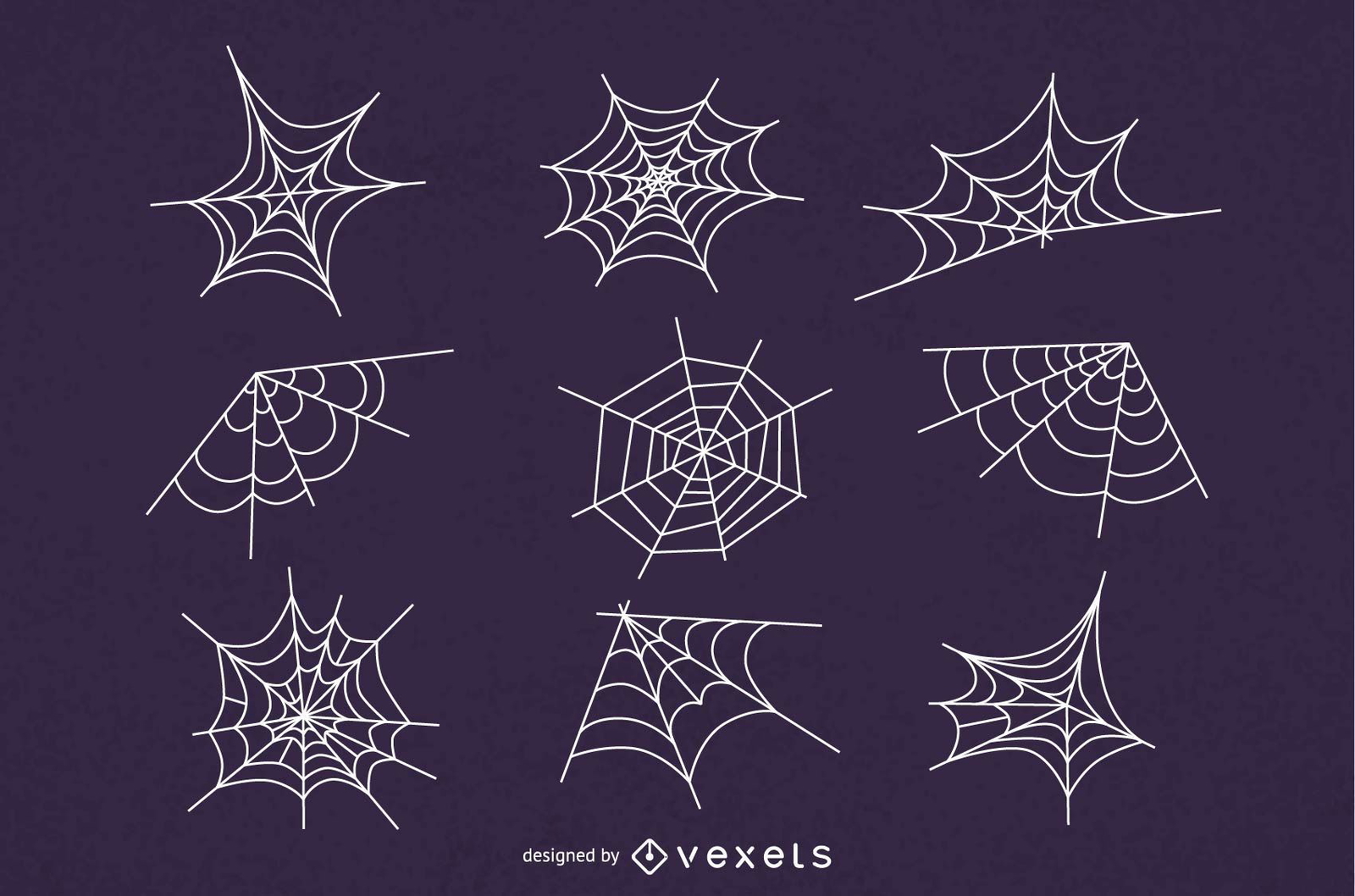 Spider Web Vector