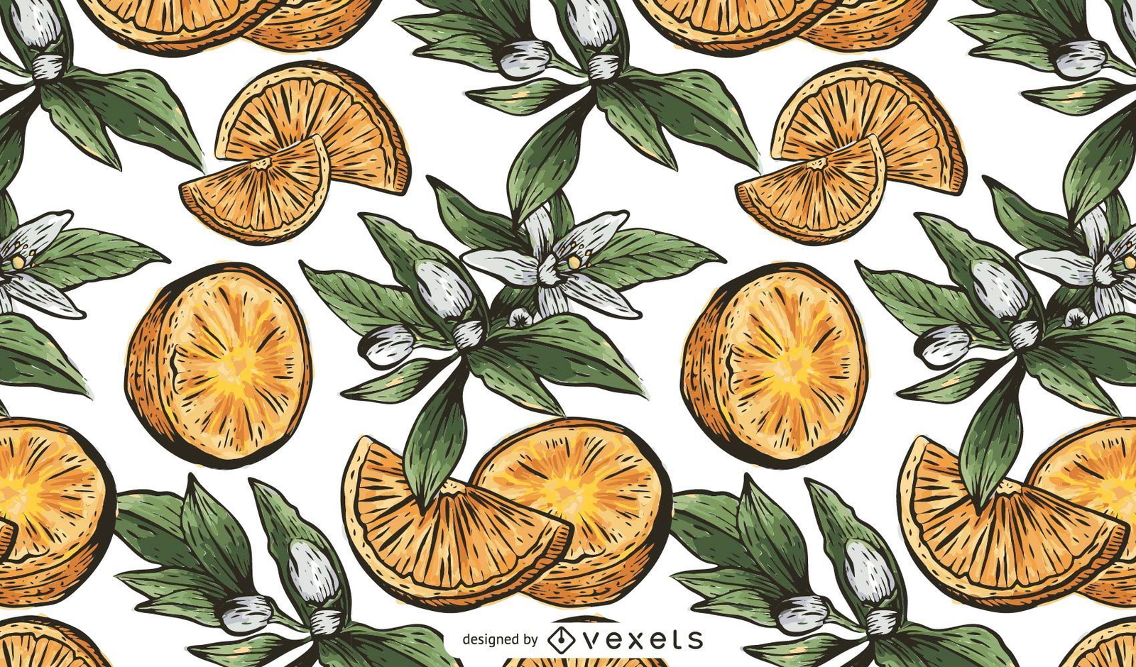 Hand Drawn Orange Fruit Pattern Vector Download