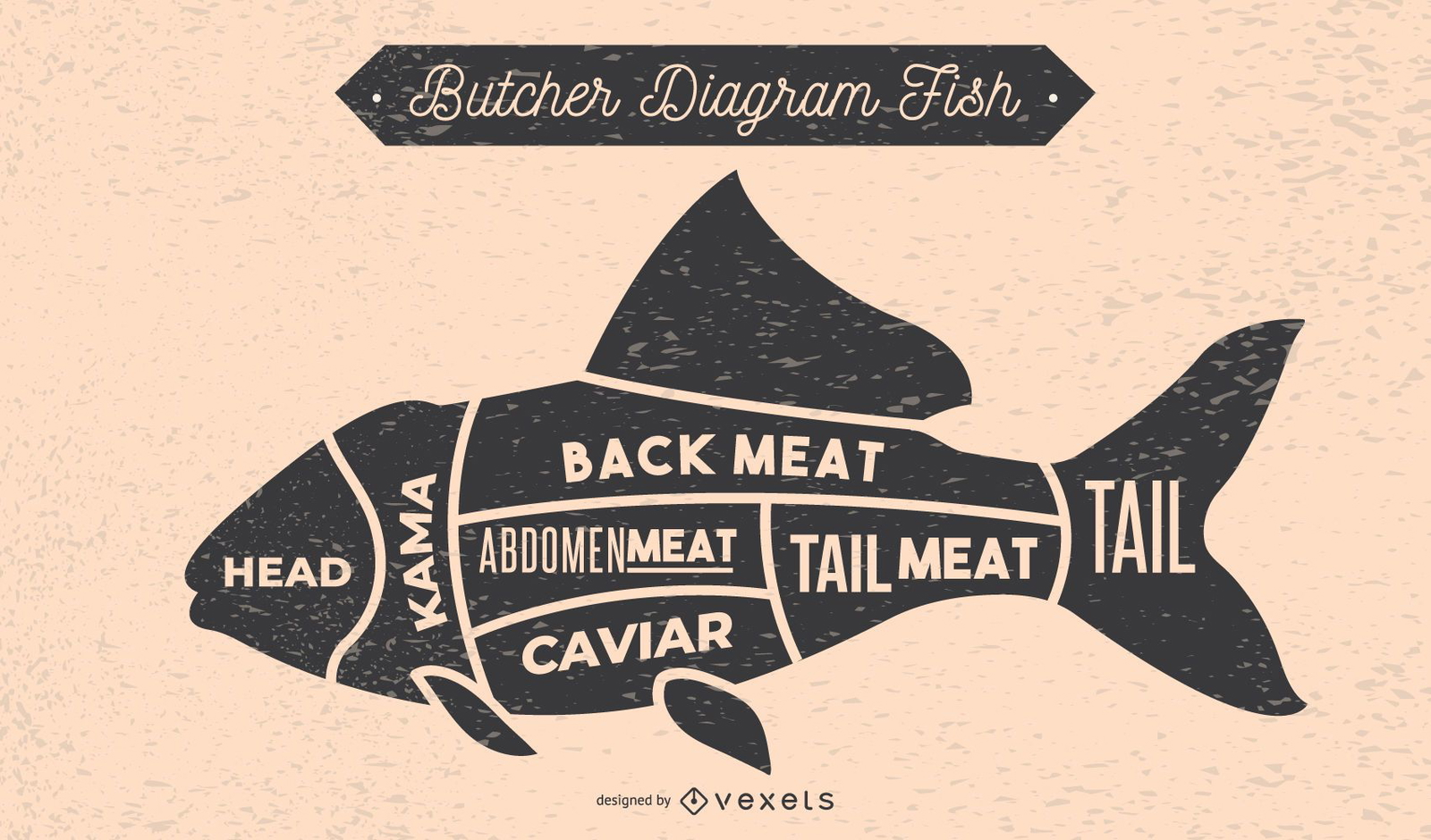 Fish Butcher Diagram Vector Download