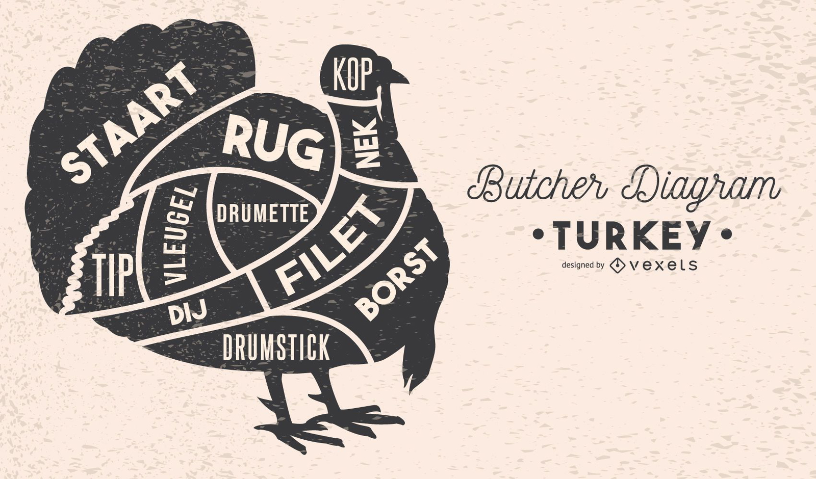 Turkey Butcher Diagram Illustration Vector Download