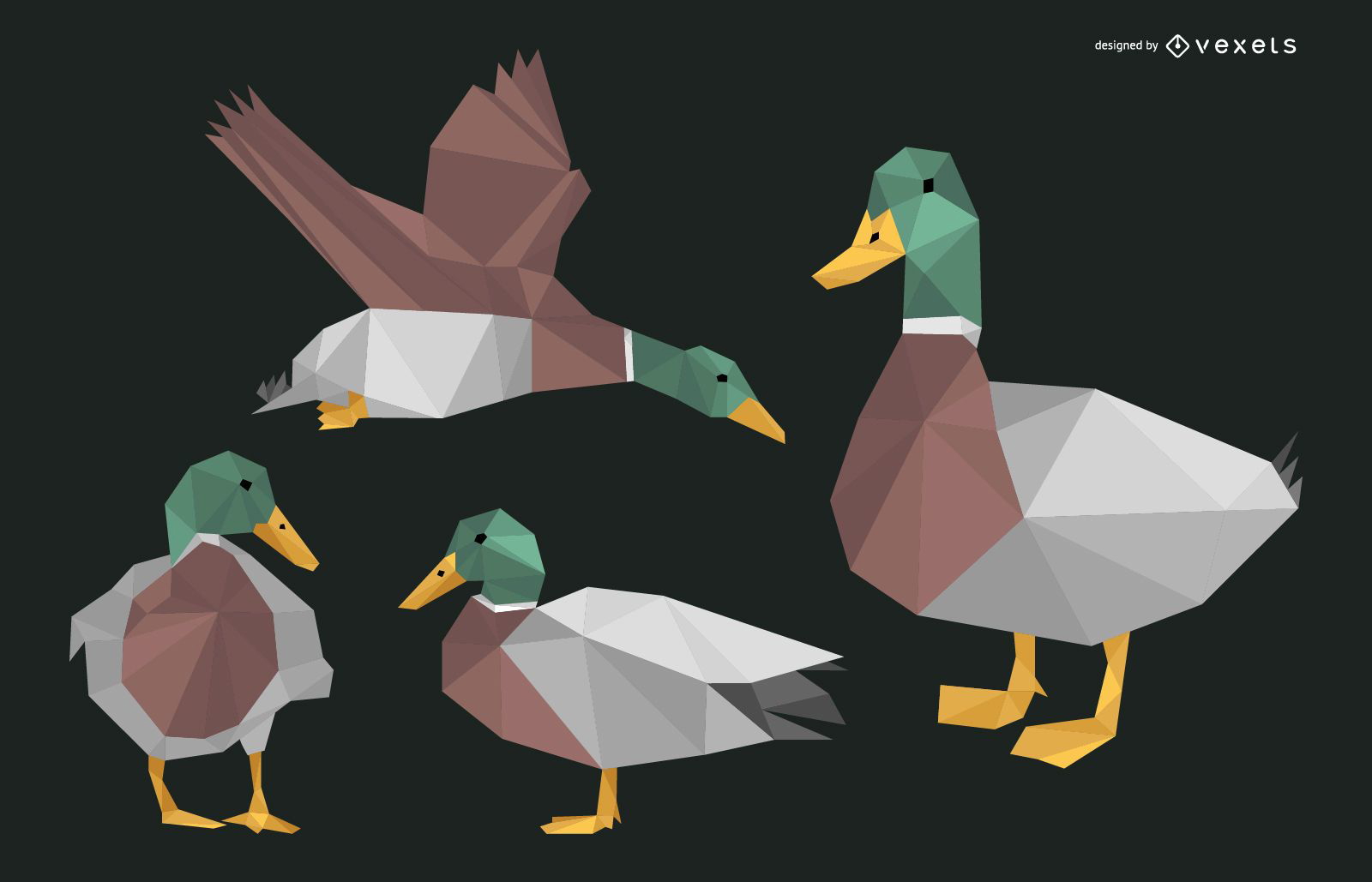 Duck Polygonal Design Set Vector Download