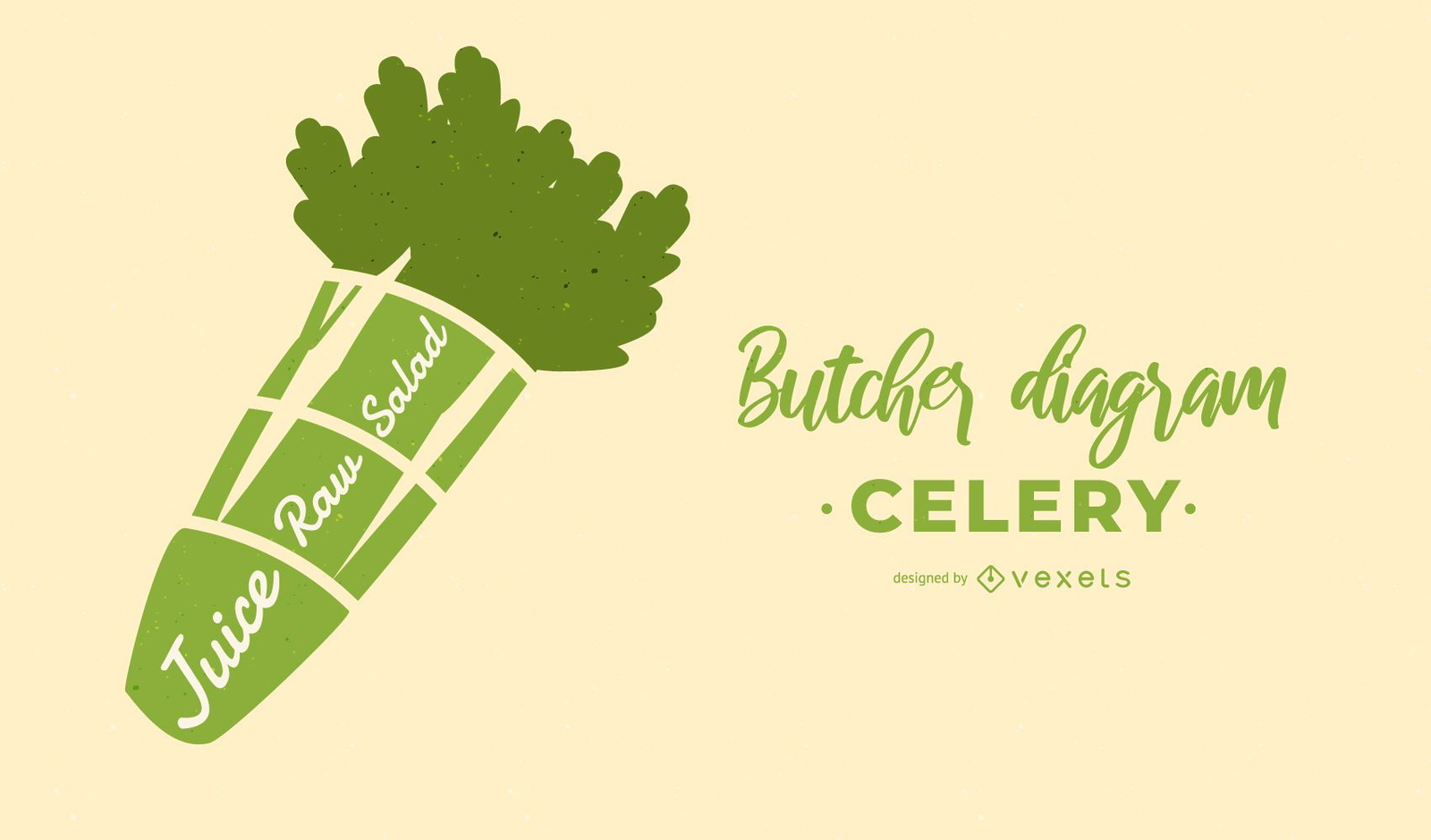 Celery Butcher Diagram Design Vector Download