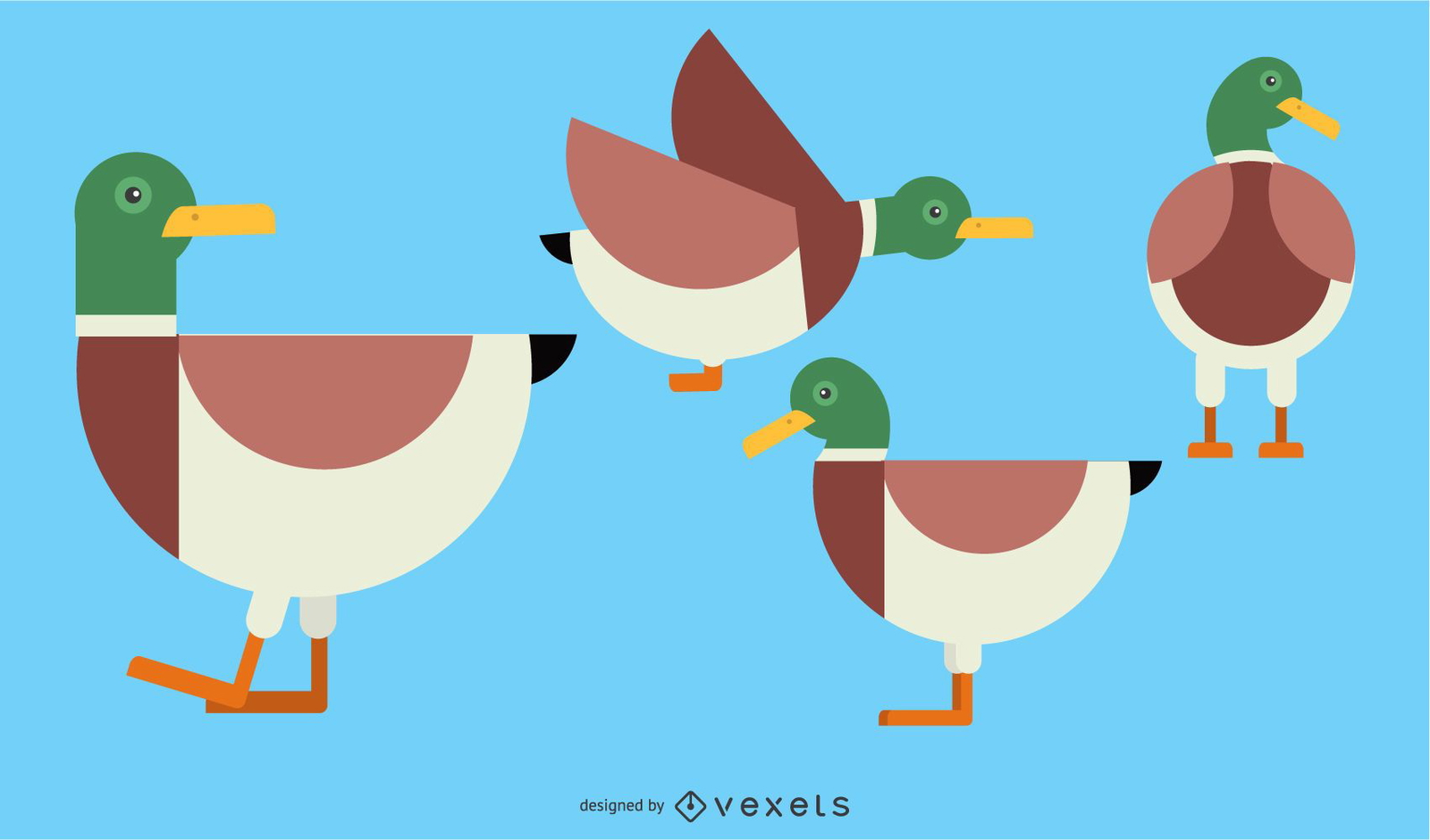 Duck Rounded Geometric Set Vector Download