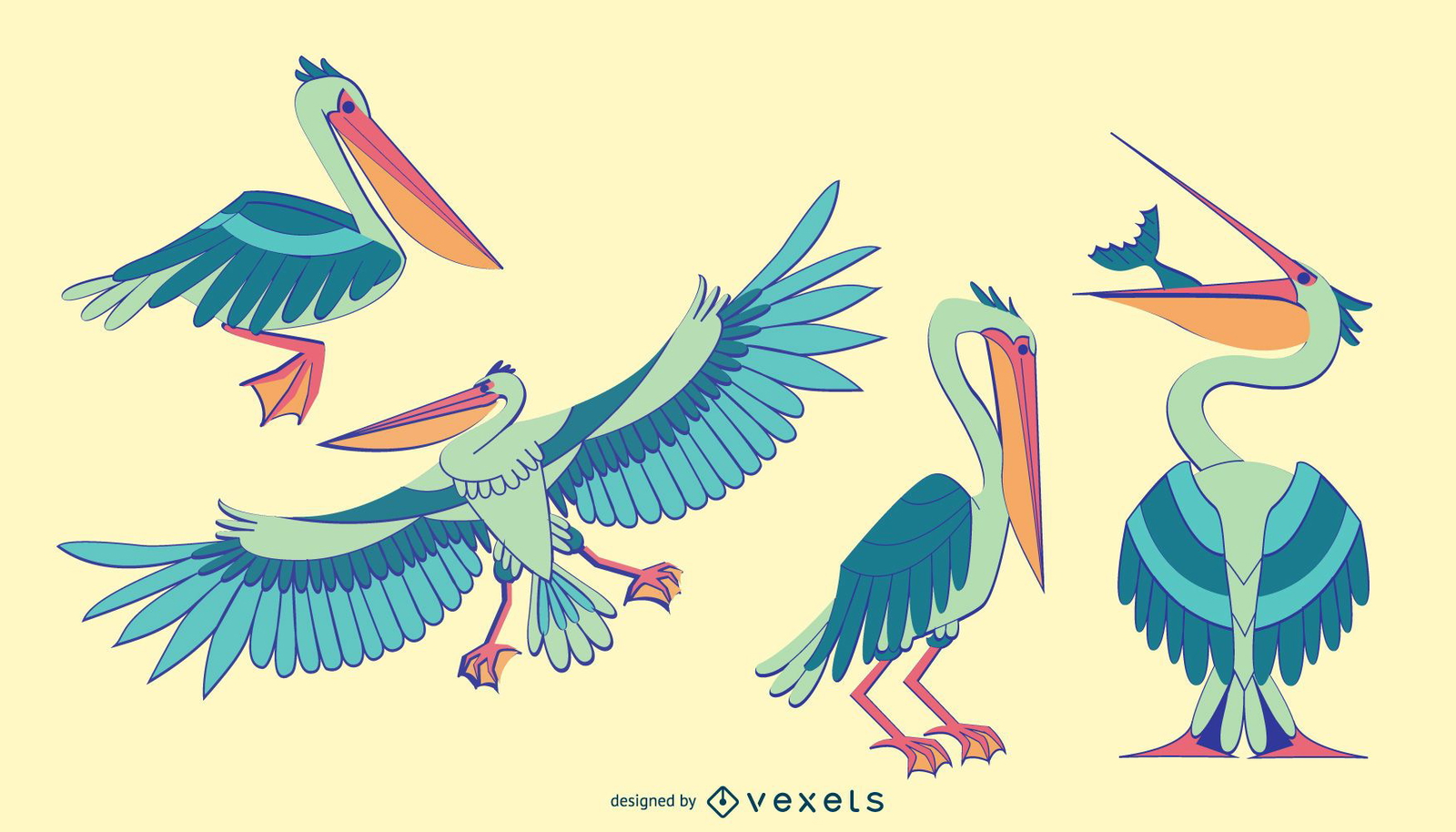 Stylish Colored Pelican Set Vector Download