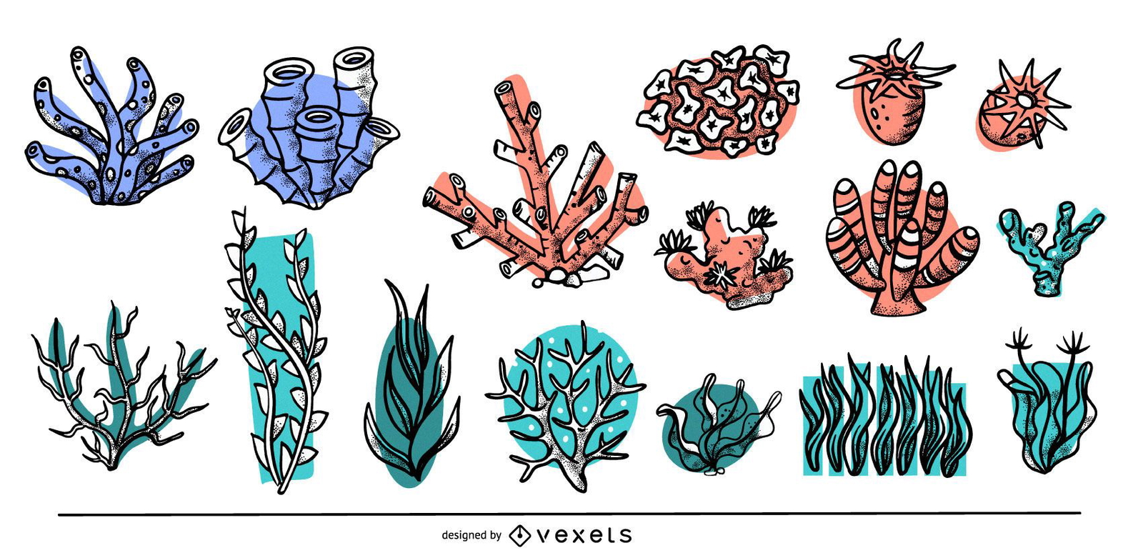 Colored Seaweed Collection Vector Download