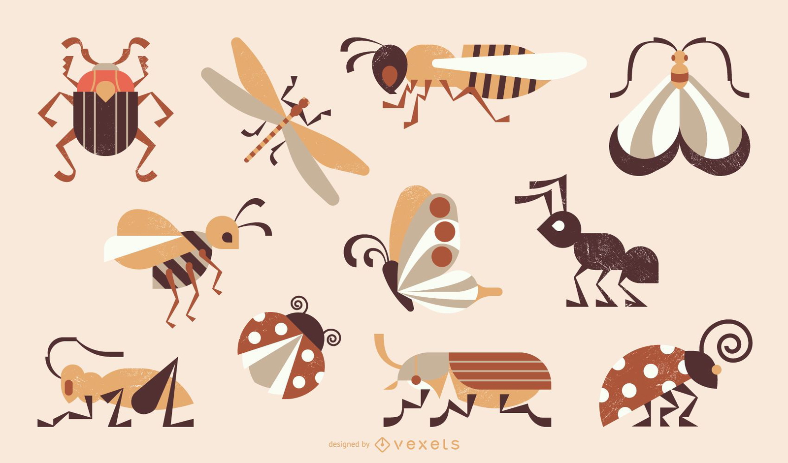 Insects Geometric Style Collection Vector Download