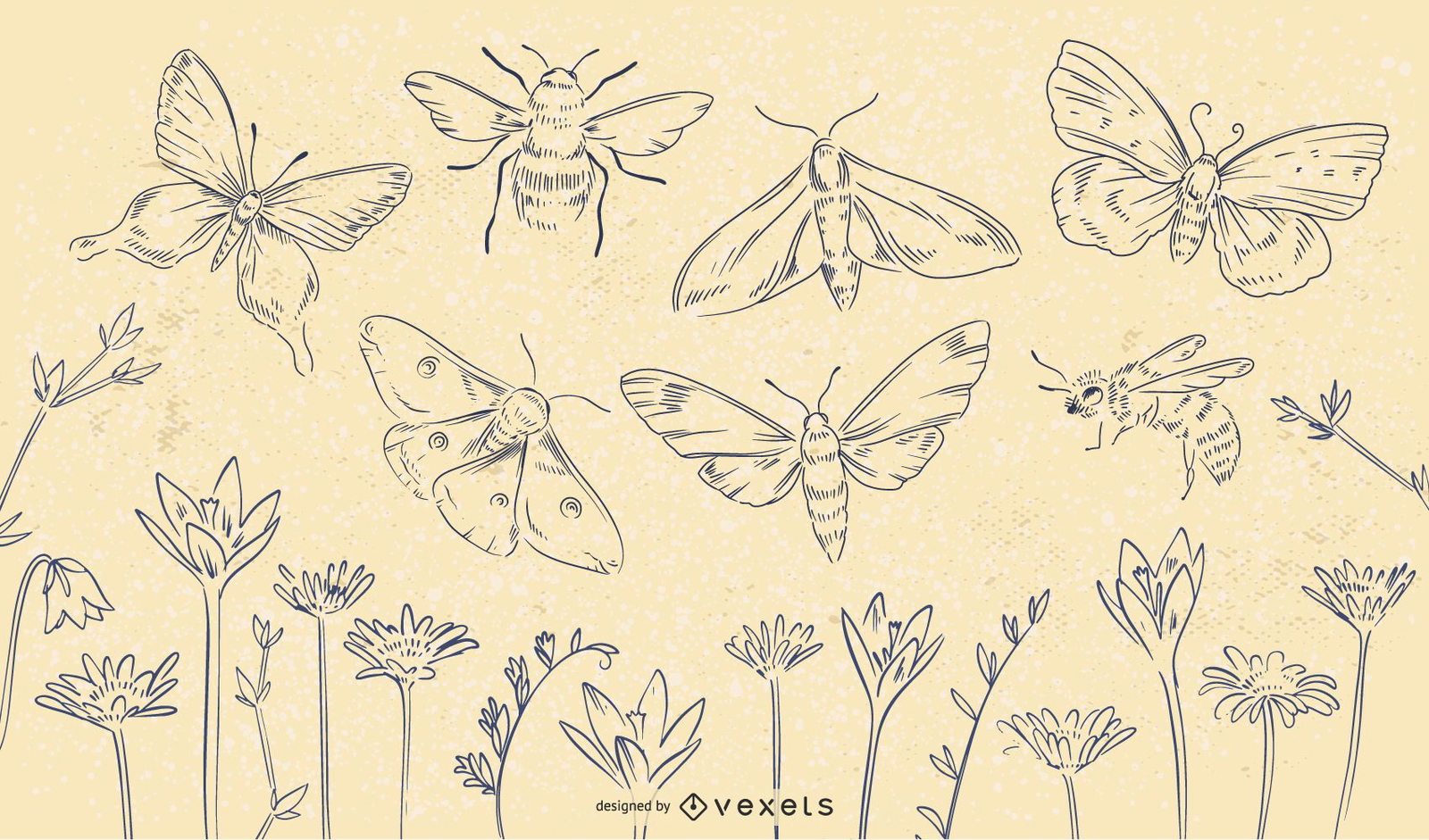 Spring Insects Flowers Stroke Set Vector Download