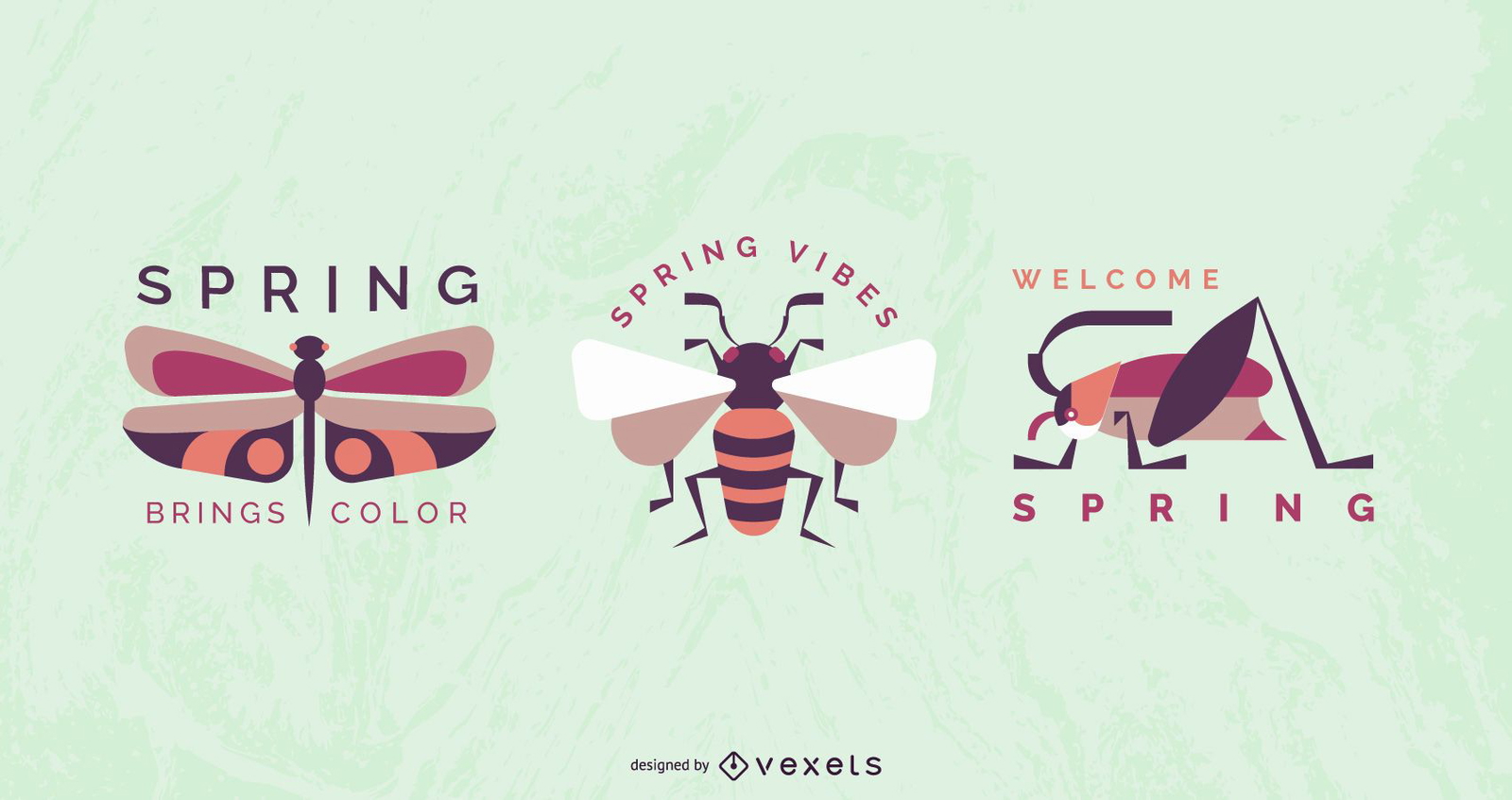 Spring Insect Badge Design Set Vector Download
