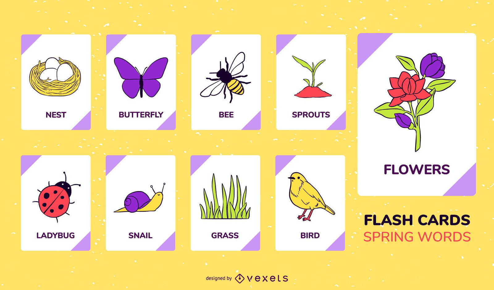 Spring Elements Flashcard Set Vector Download