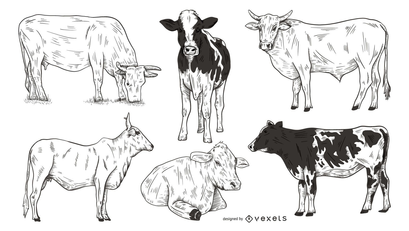 Cows Hand Drawn Set Vector Download