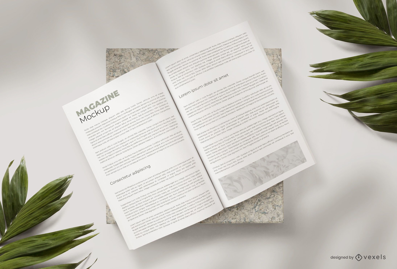 Open Magazine Template Photoshop Free