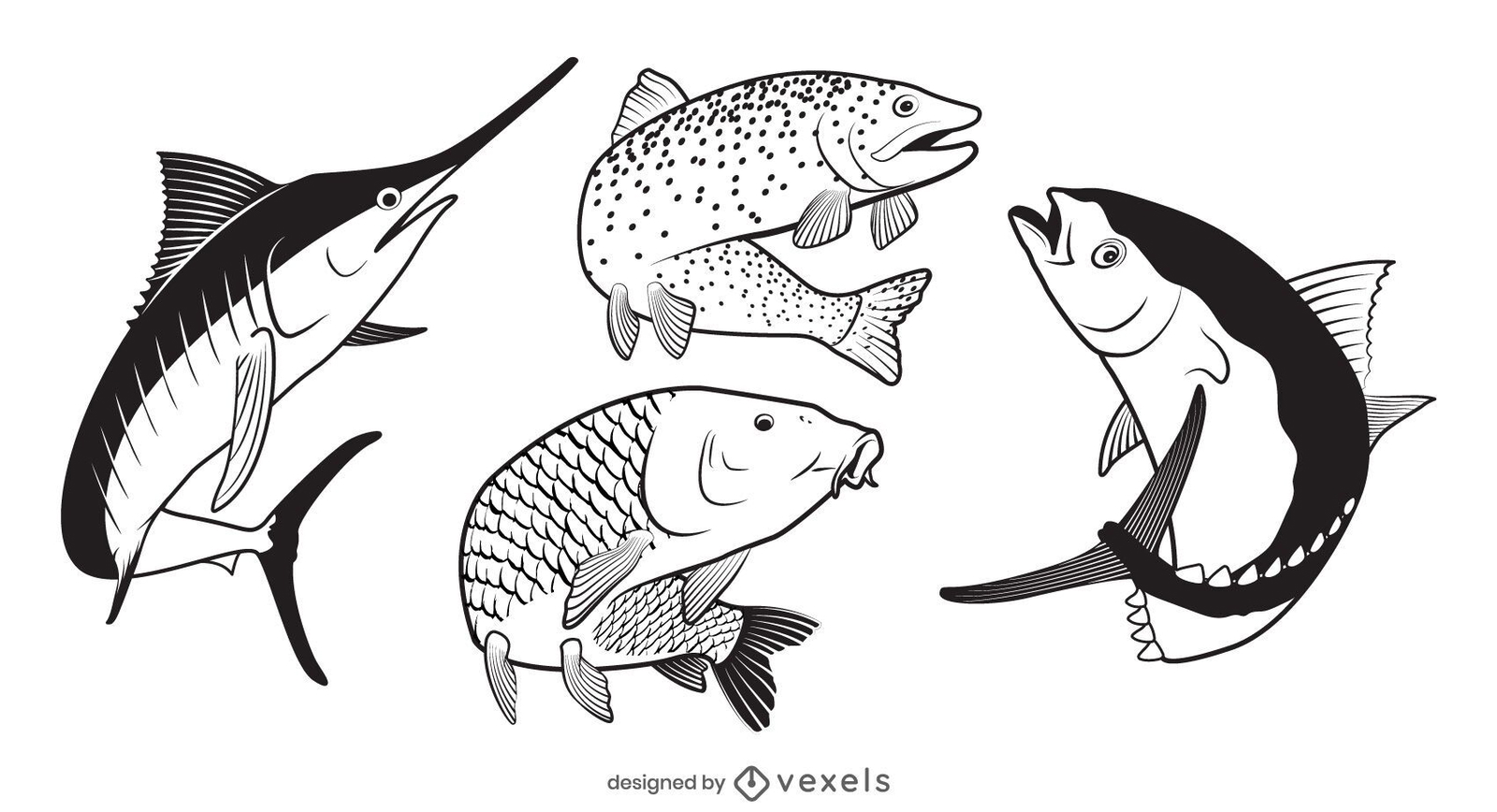 Fish Illustration Set Design Vector Download
