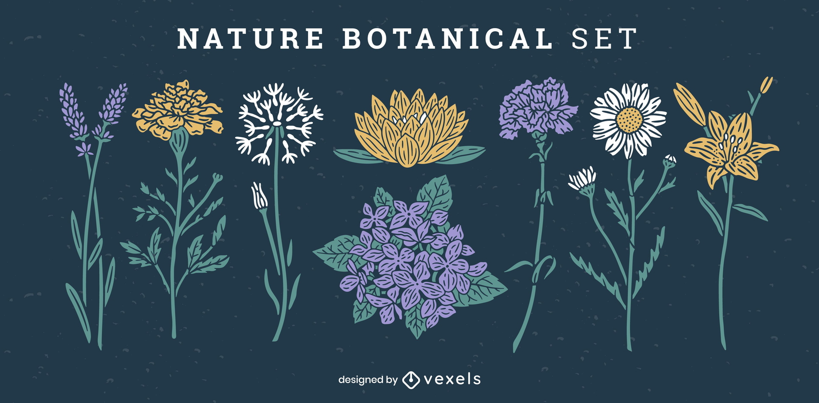 Color Cut Out Flowers Set Vector Download