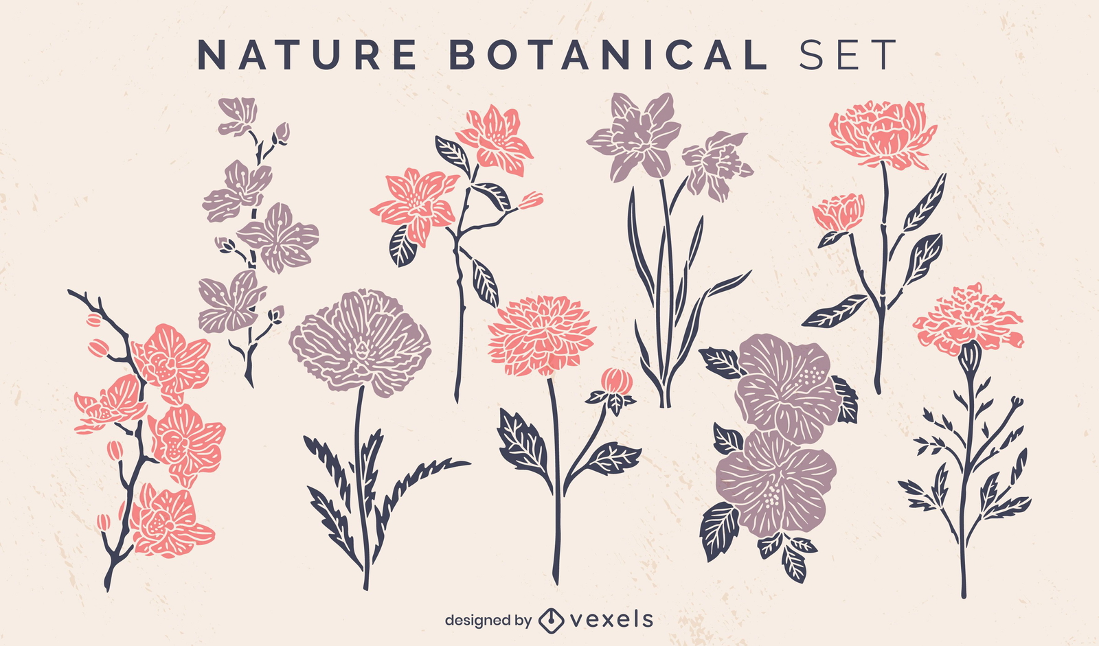 Beautiful Set Of Color Cut Out Flowers Vector Download