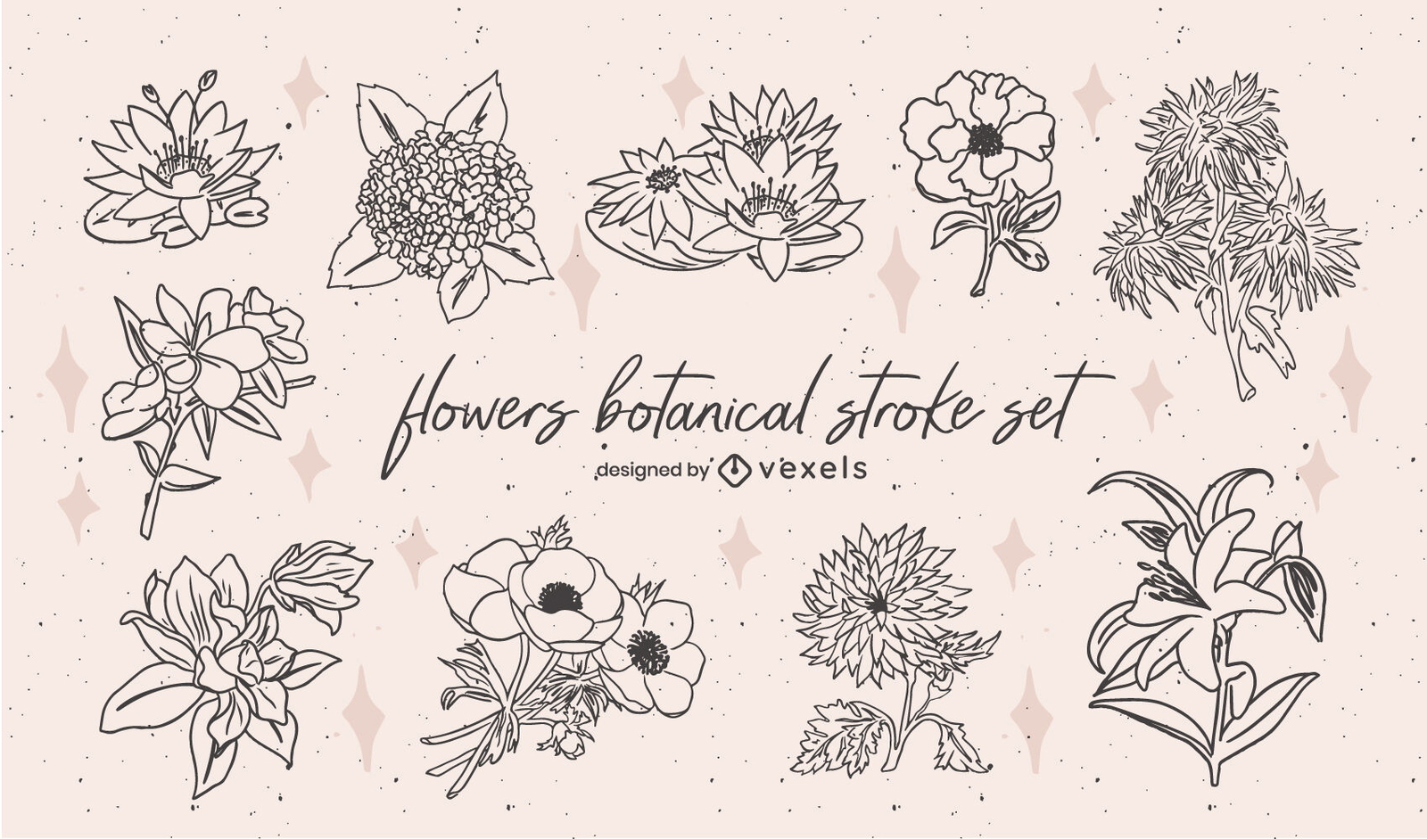 Botanical Sketch Flowers Set Vector Download