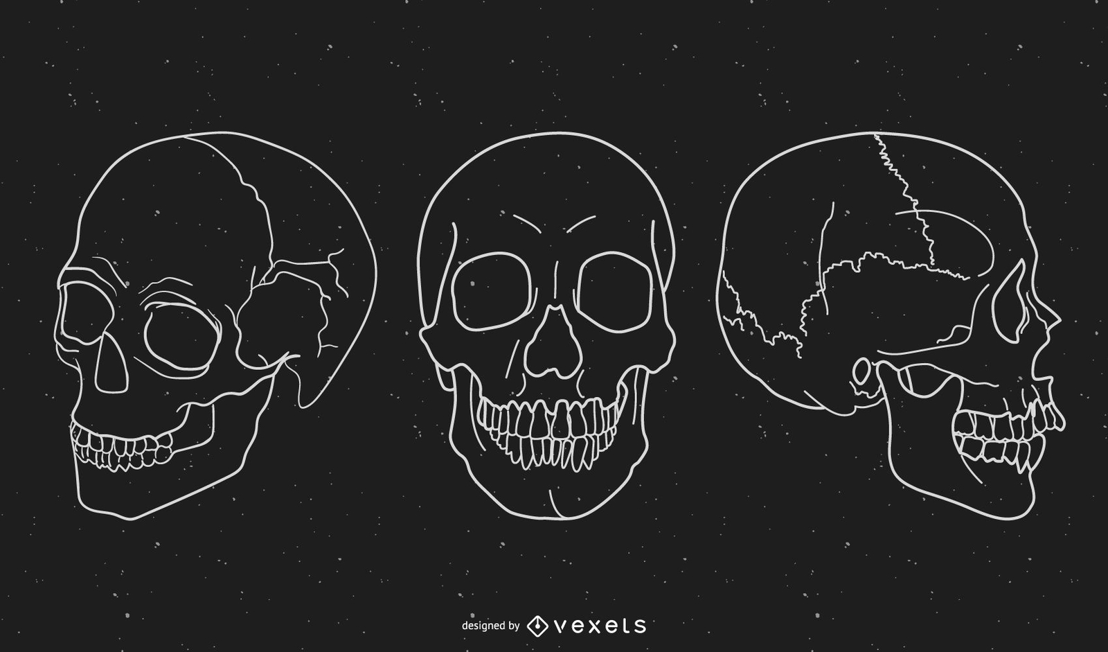 Black And White Skull Vector Vector Download