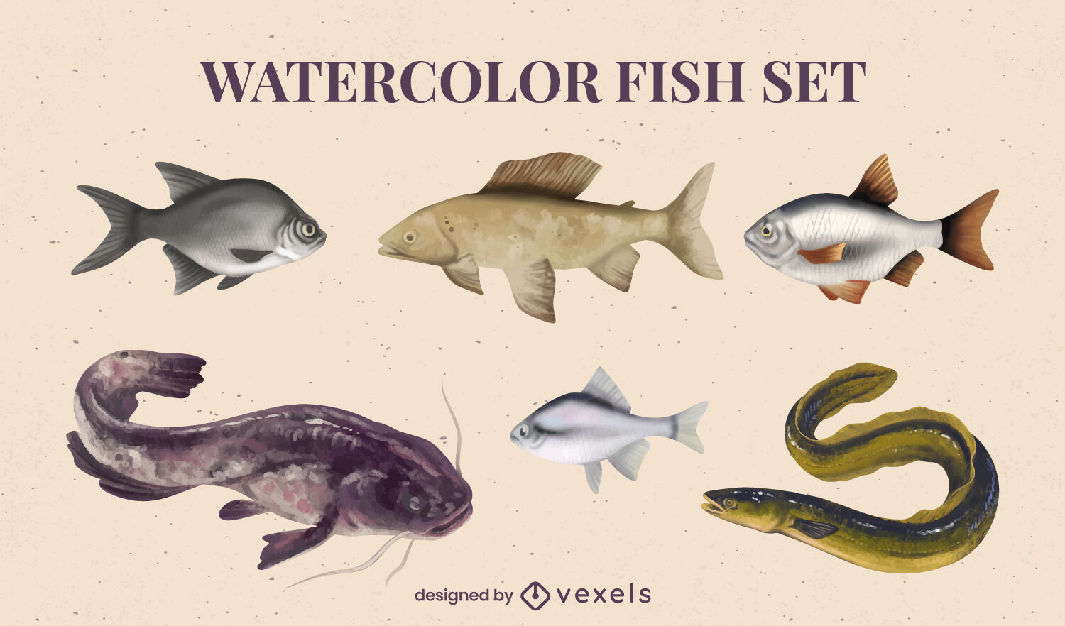 Watercolor Fish Sea Animals Swimming Set Vector Download