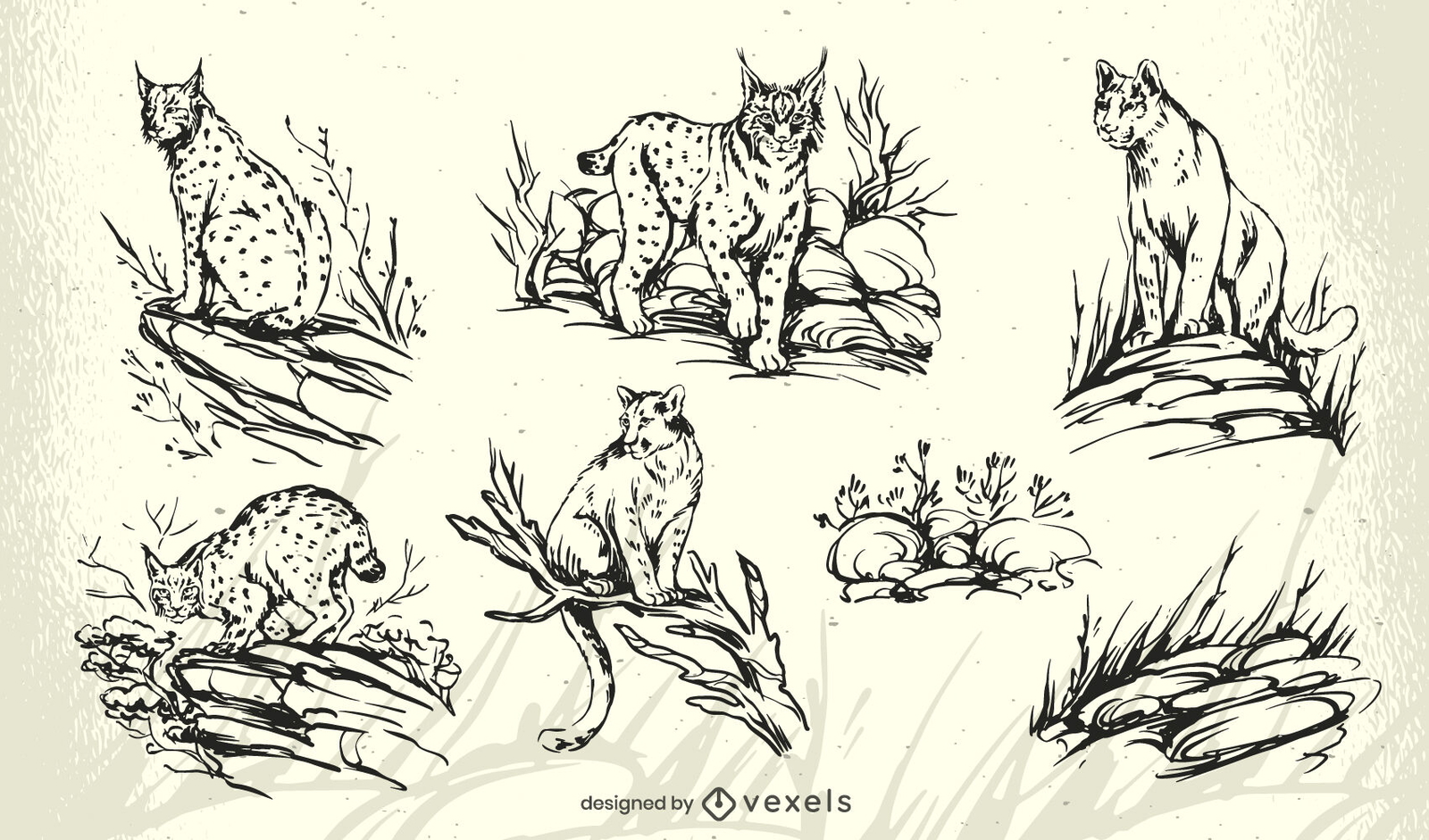 Lynx Cat Character Set Vector Download