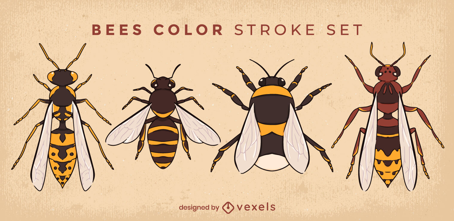 Realistic Bees Illustration Set Vector Download