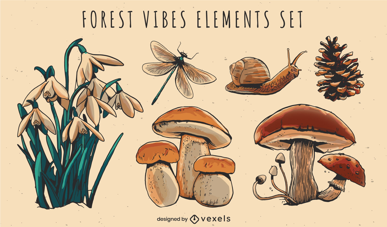 Realistic Mushrooms And Flowers Nature Set Vector Download