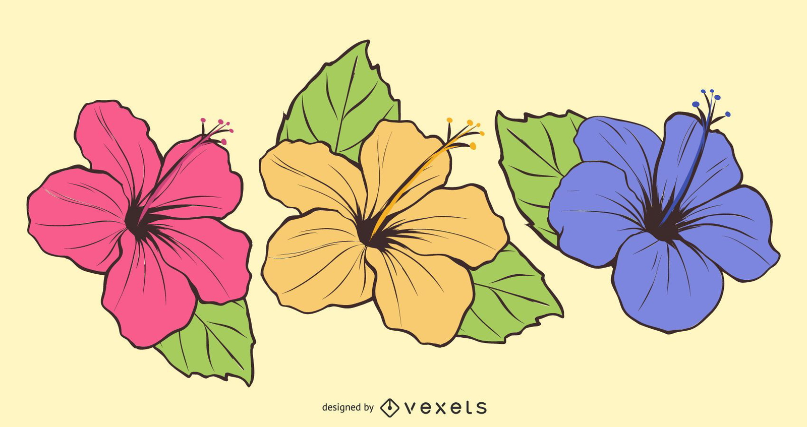 Free Flower Vector-3 Vector Download