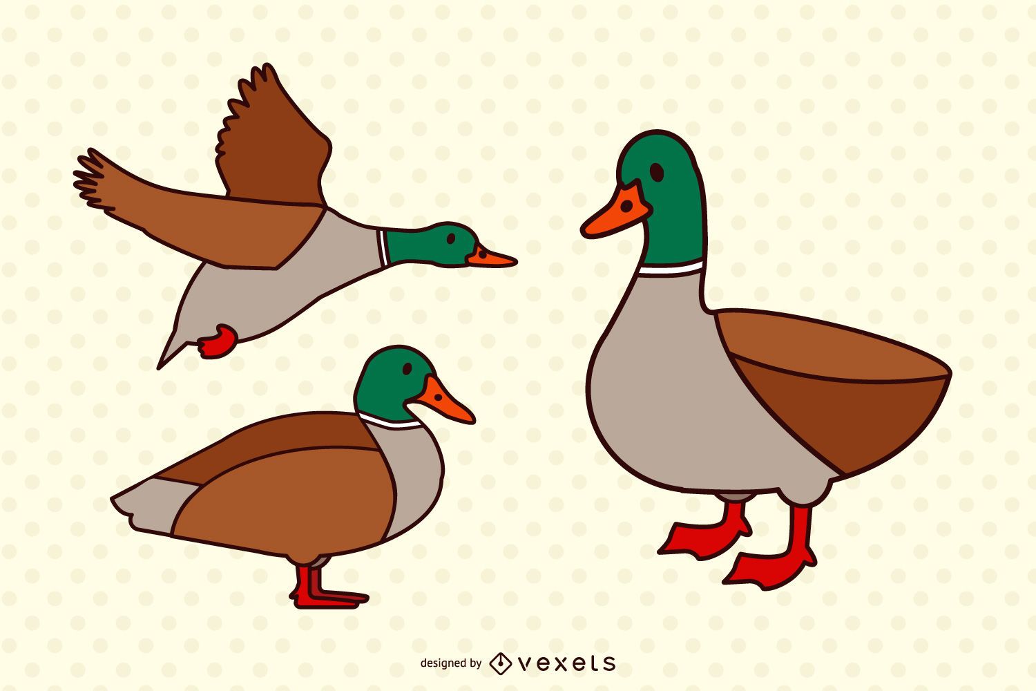Funky Ducks Vector Download
