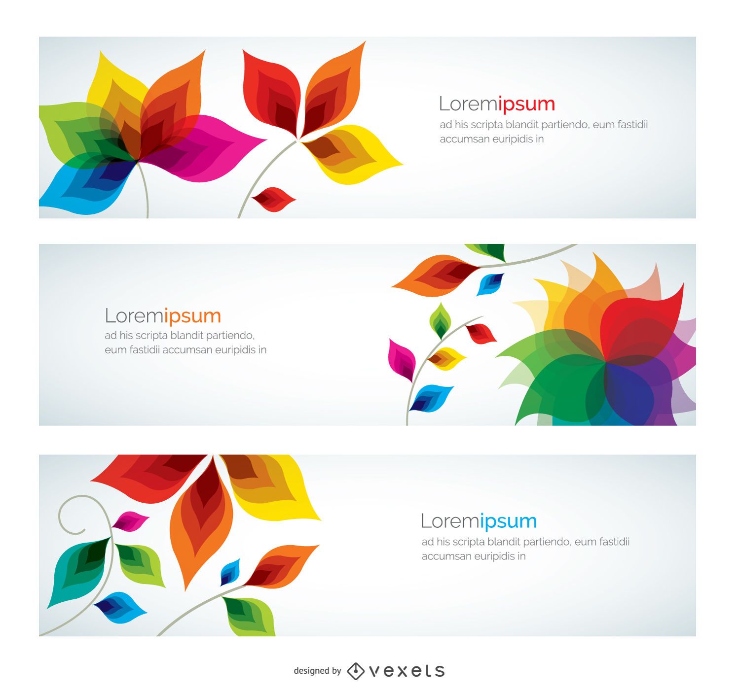Colorful Banner Flowers Vector Download