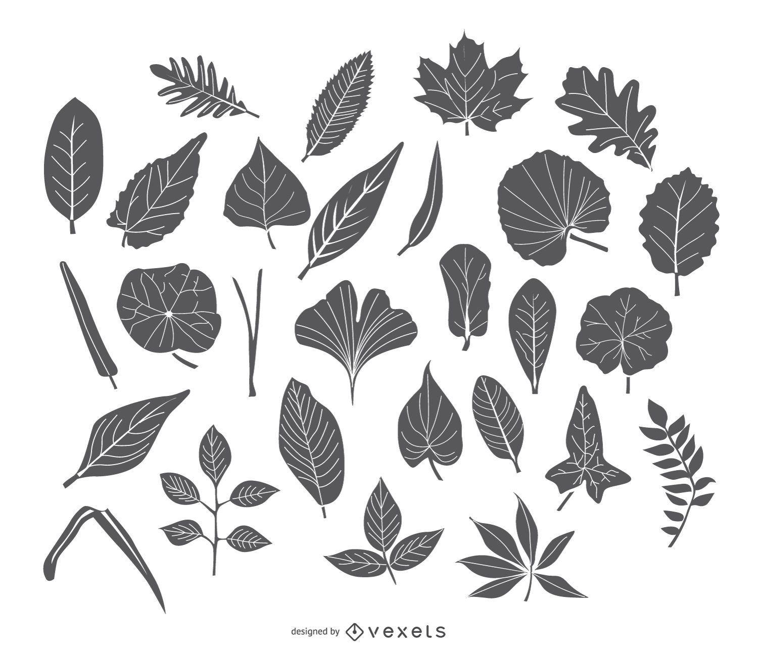 Stroke Leaves Icon Set Vector Download