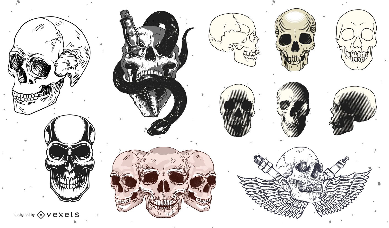 Skull Vector Collection Vector Download