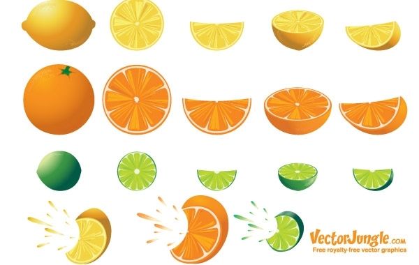 FREE CITRUS VECTORS Vector Download