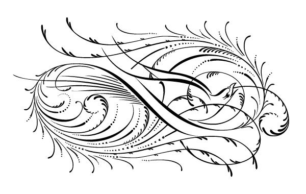 Descarga Vector De Vector De Patrones 11