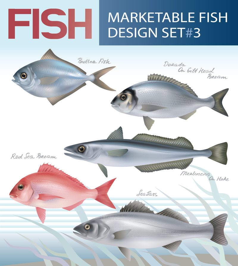 Descarga Vector De Vector De Pescado 03