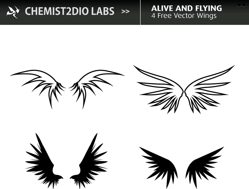 Descarga Vector De Vector De Alas 2