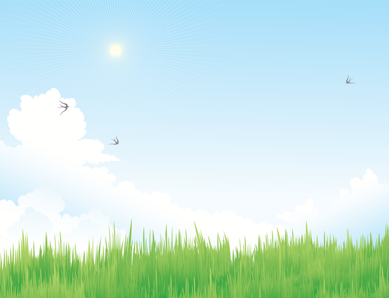 5 Sky Vectors Set Vector Download