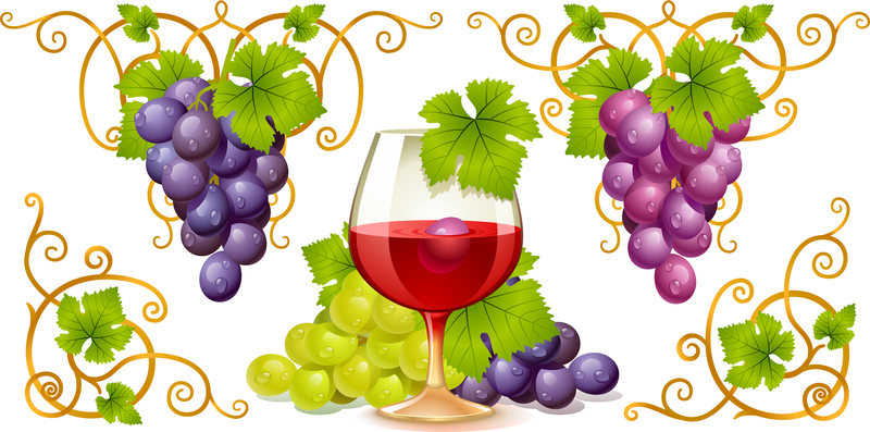 Grapes and wine realistic illustration - Vector download