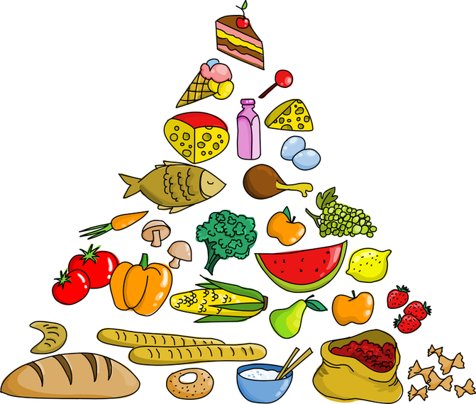 Food Pyramid Vector - Vector download