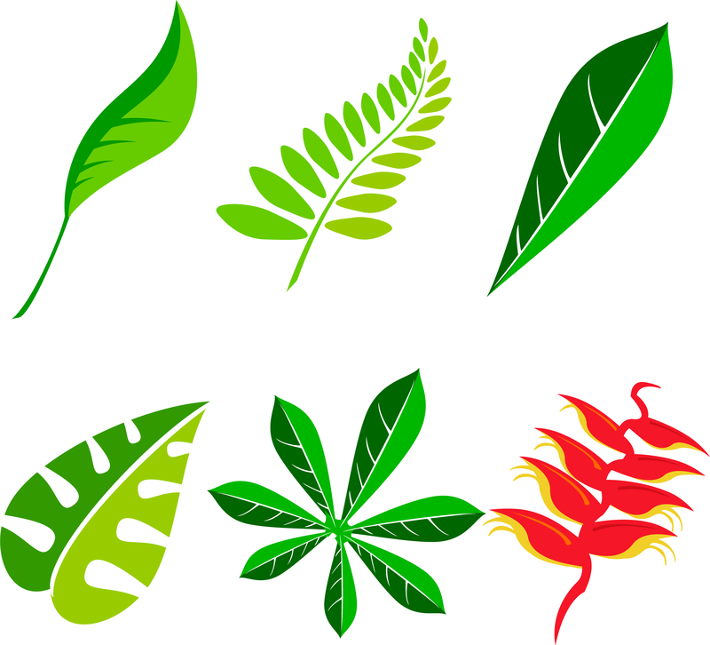 Free Leaf Vector Art Package - Vector Download