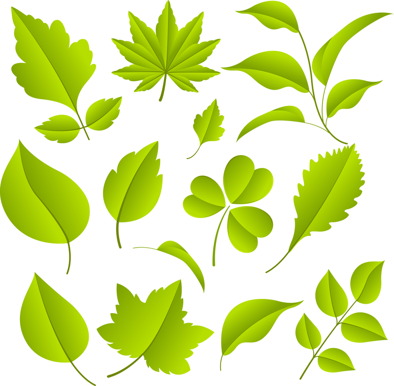 La hoja 02 del vector - Descargar vector