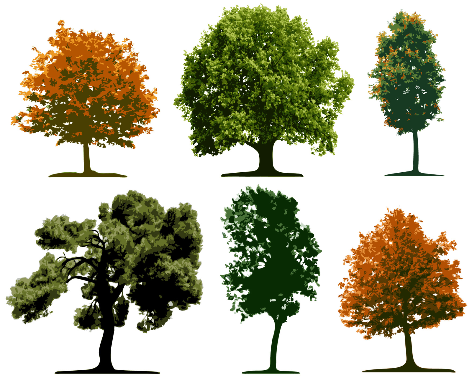 Baixar Vetor De Big Trees 01 Vector