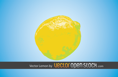 Baixar Vetor De Limão Vector 2