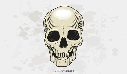Free Skull Vector Vector Download