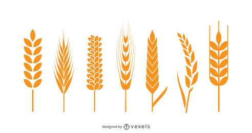 Descarga Vector De Vector De Trigo 03