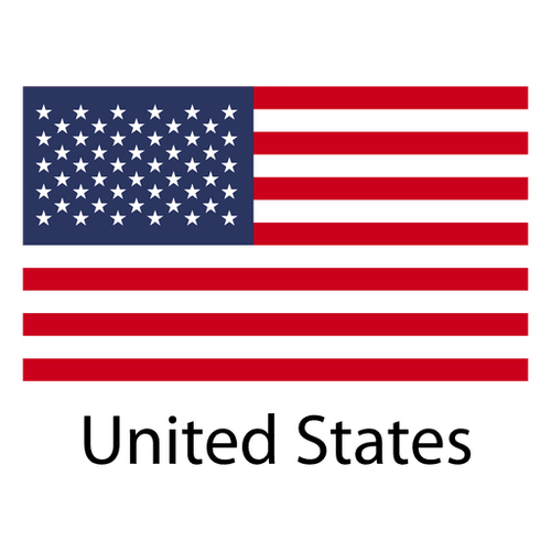 United States Flag Logo