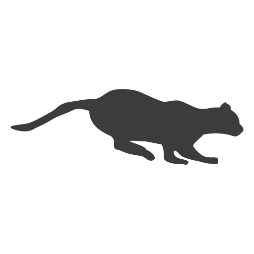 Animated Cat Running Png Free Animated Cat Runningpng Transparent Images