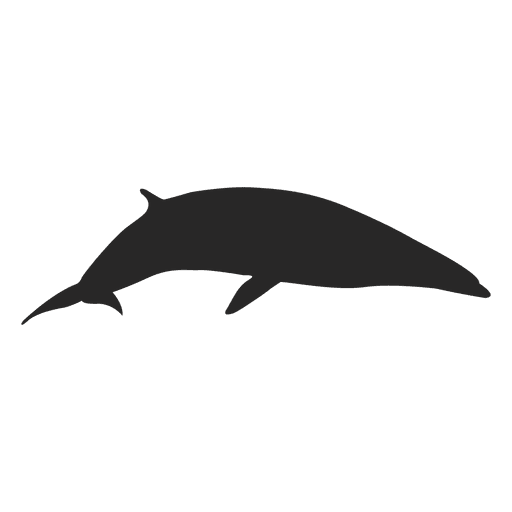 Silueta de ballena - Descargar PNG/SVG transparente