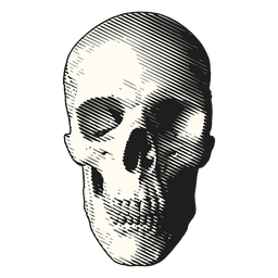 Medical Illustration Skull PNG & SVG Design For T-Shirts