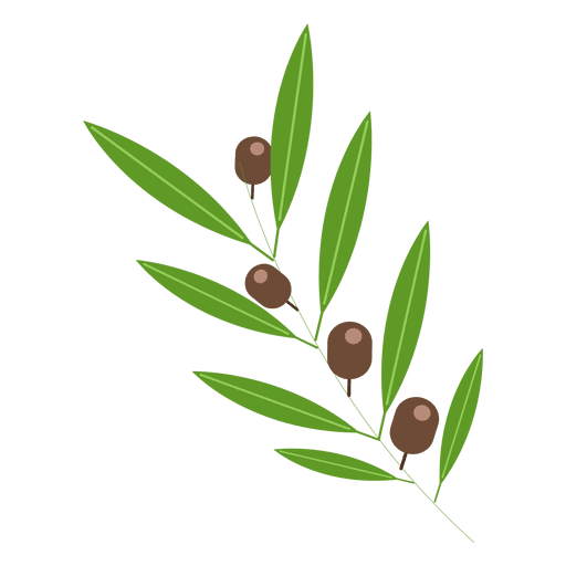 Ilustração de oliveira - Baixar PNG/SVG Transparente